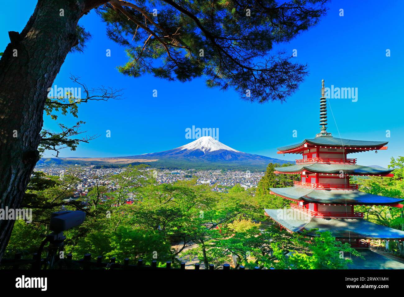 Five-story pagoda, pine trees and snowy Mt. Fuji from Niikurayama ...