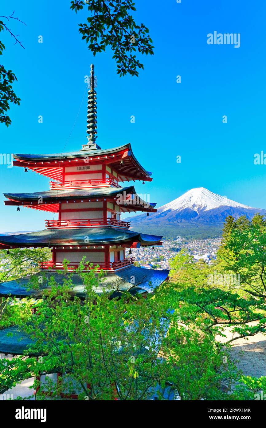 Mt. Fuji with fresh greenery and snow on the five-story pagoda from Niikurayama Sengen Park ...
