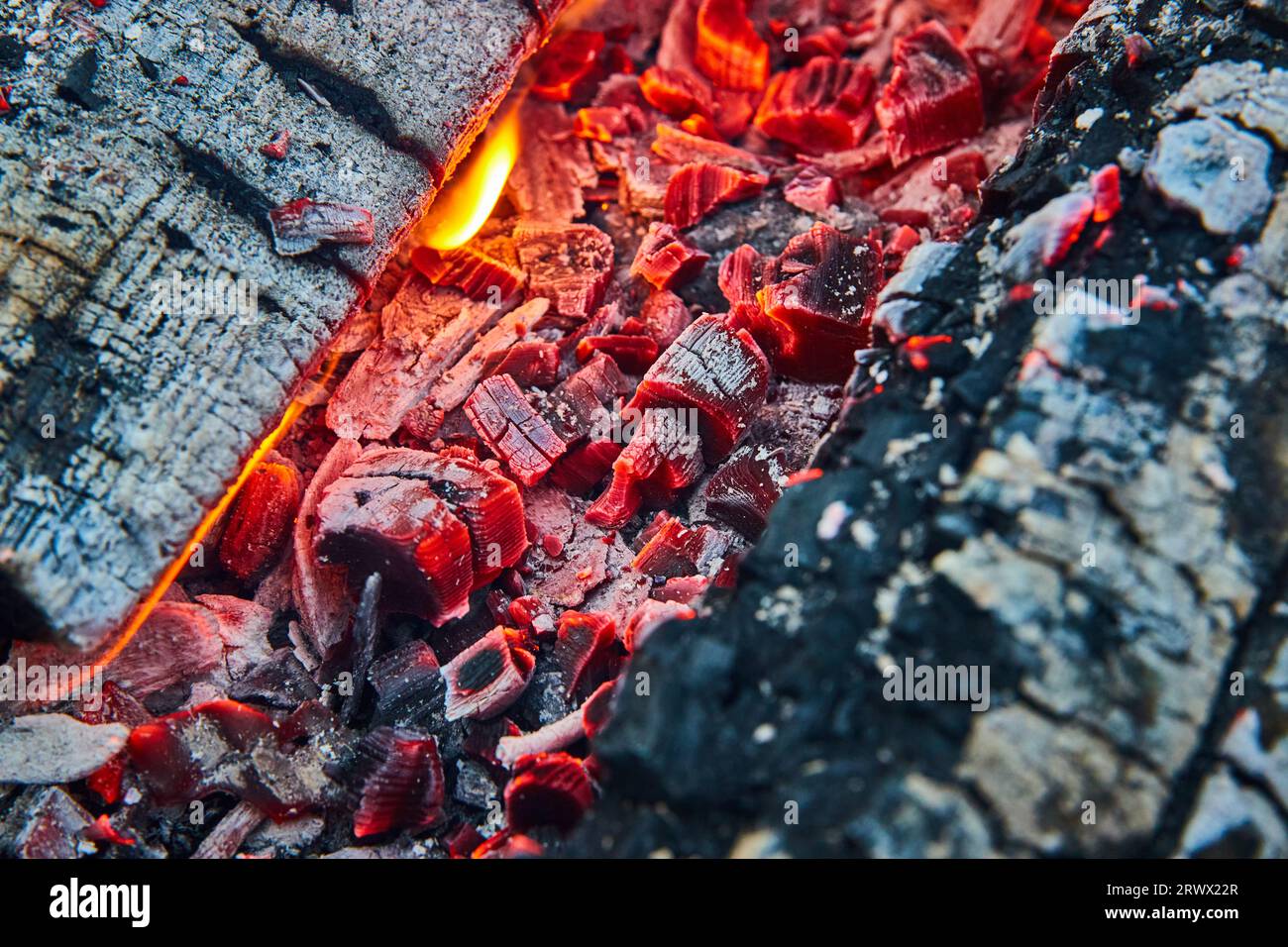 Macro shot of glowing red embers with black charred wood and tiny ...