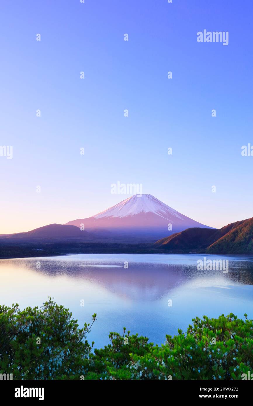 Mt. Fuji in the morning glow and Mt. Fuji upside down on Motosu Lake ...