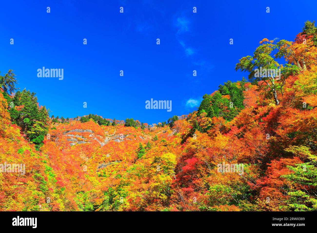 The grove drive hi-res stock photography and images - Alamy