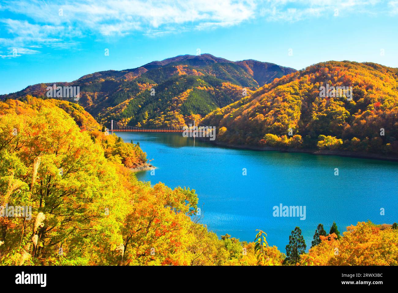 Lake Kuzuryu in Autumn Autumn Coloured Leaves and View of the Bridge of ...