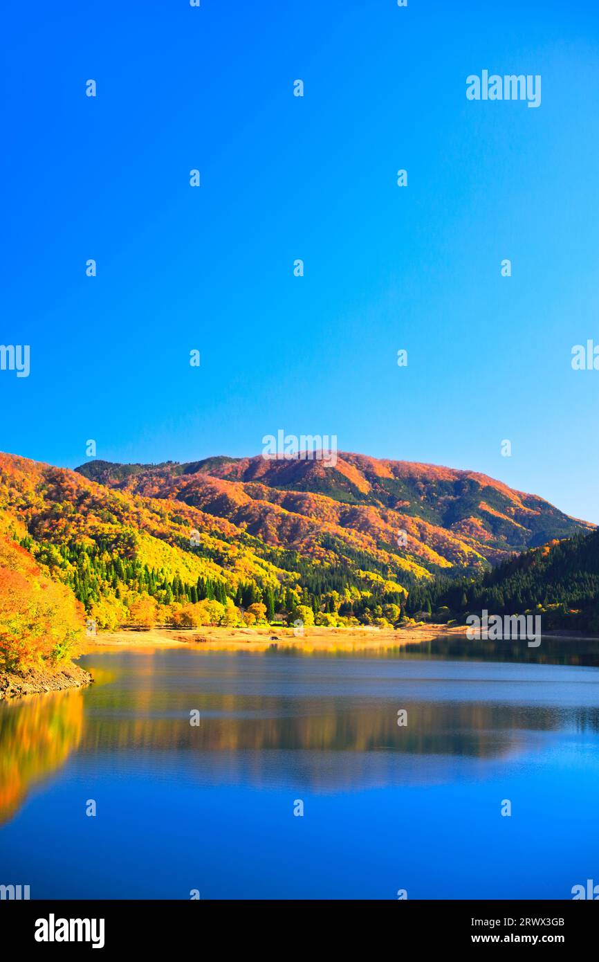 Lake Kuzuryu in Autumn with Autumn Leaves and Clear Skies Stock Photo ...