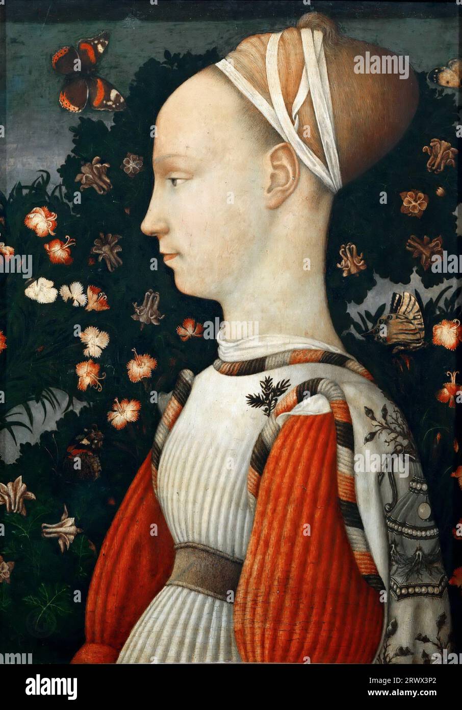 Pisanello hi-res stock photography and images - Alamy