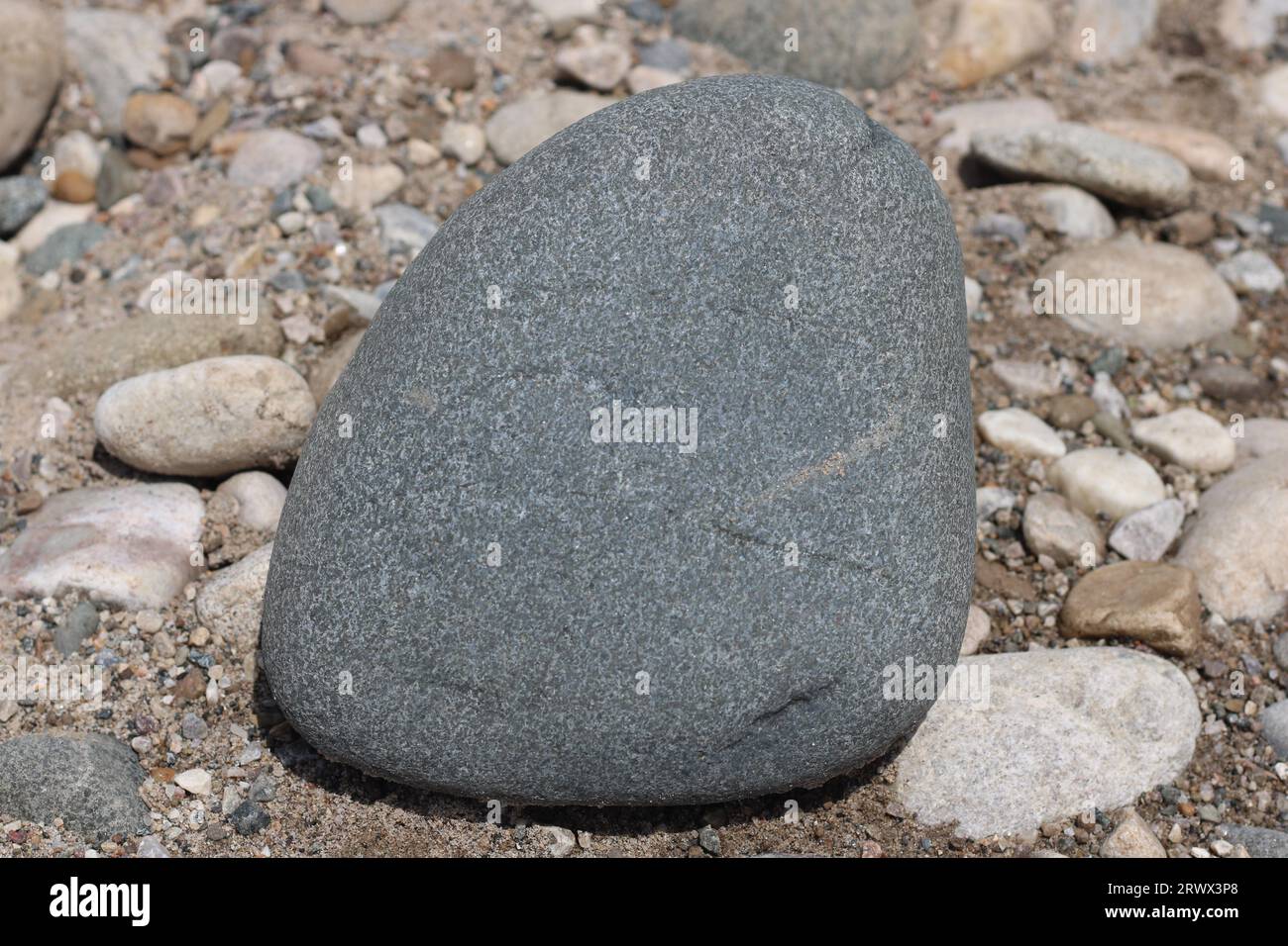 Phlogopite hi-res stock photography and images - Alamy