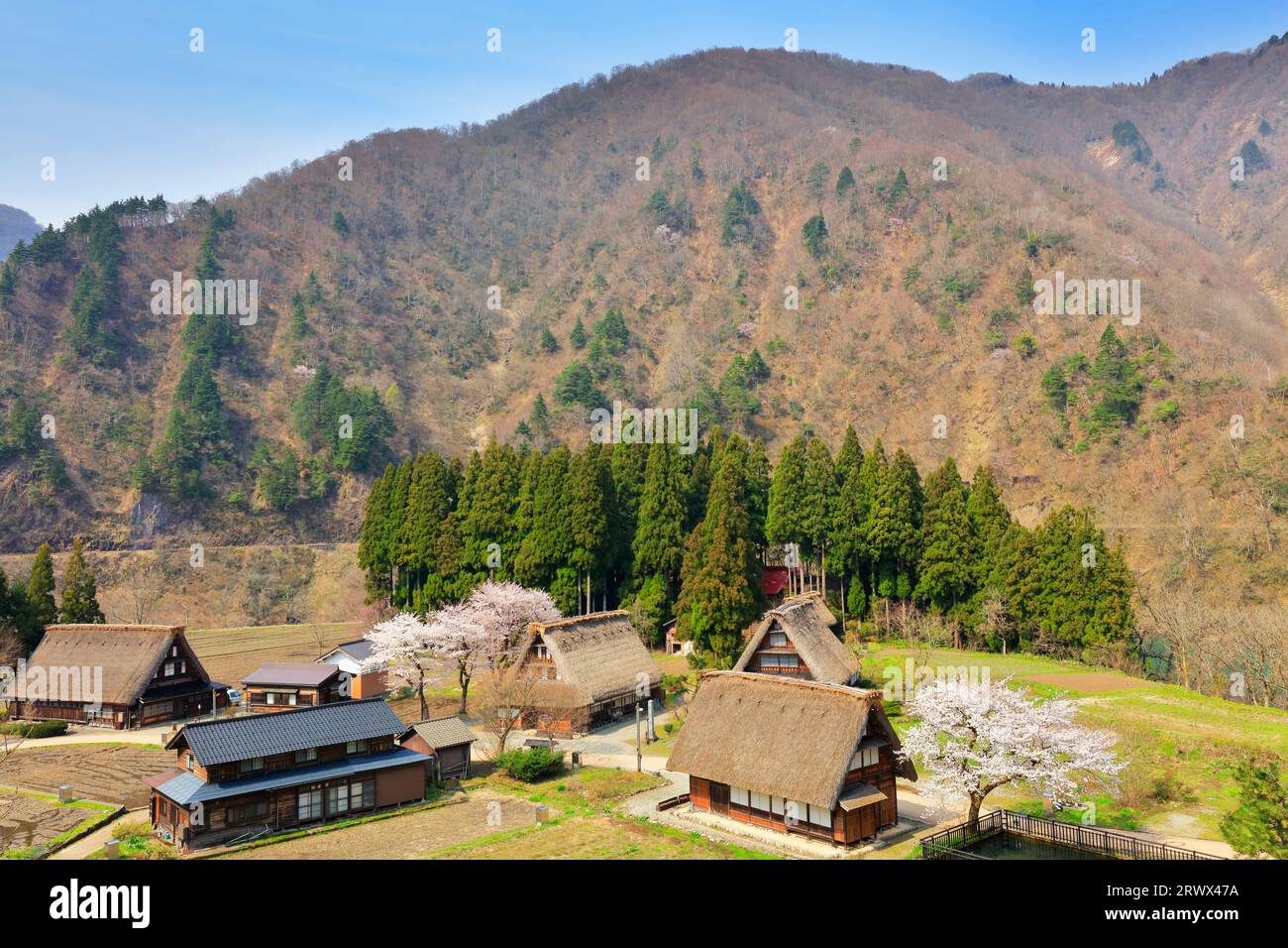 World Heritage Site Suganuma Gassho-Zukuri Village in spring Stock ...
