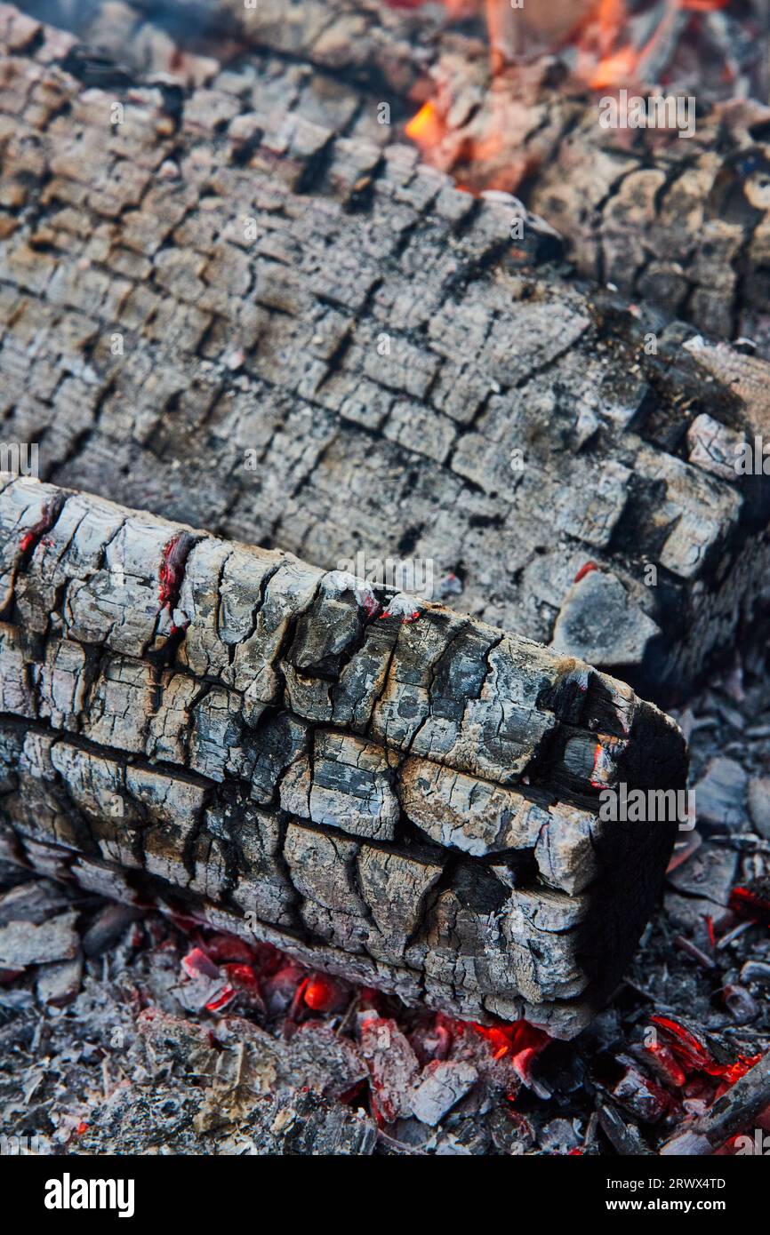 Close up of charred black logs with white cracked ashen surface and ...