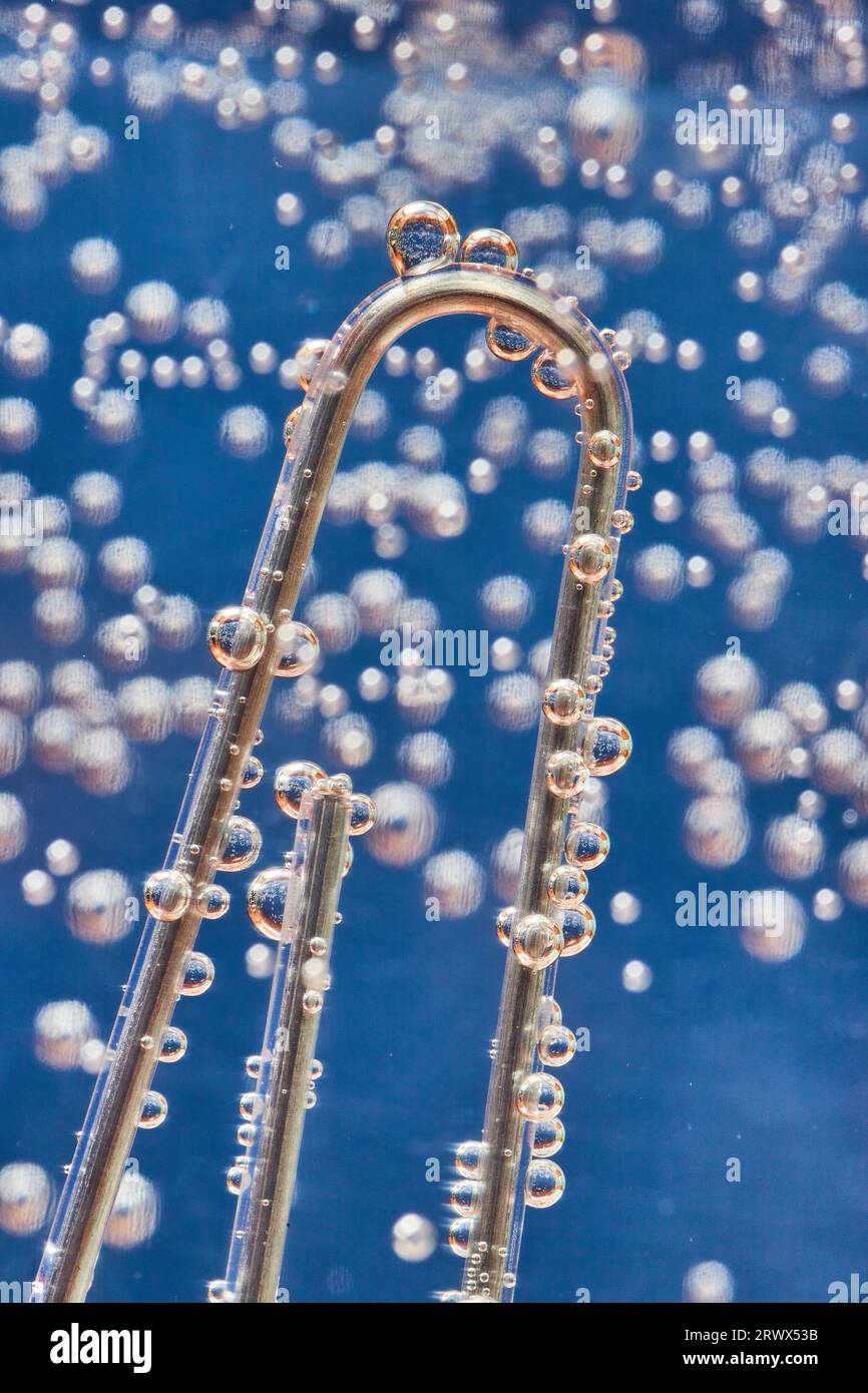Macro of silvery bubbles on paperclip with bubbly blue background Stock ...
