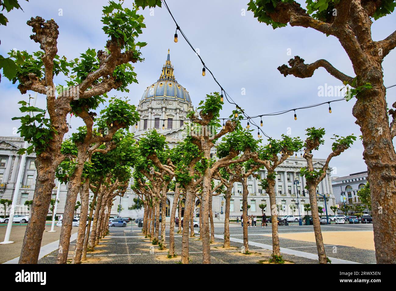 Sandy patches hi-res stock photography and images - Alamy