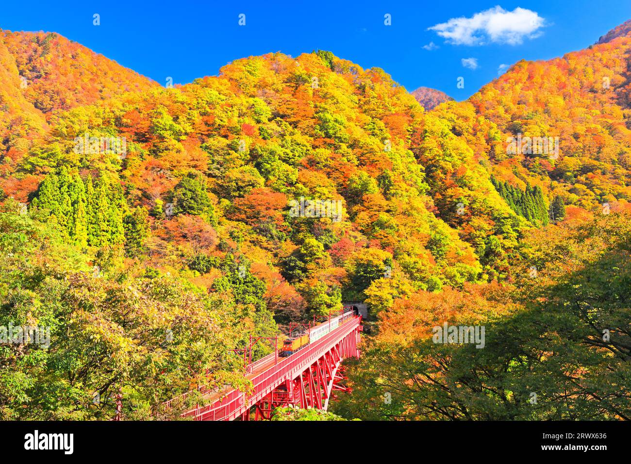 Kurobe Gorge Trolley train in autumn and the mountain range with autumn ...