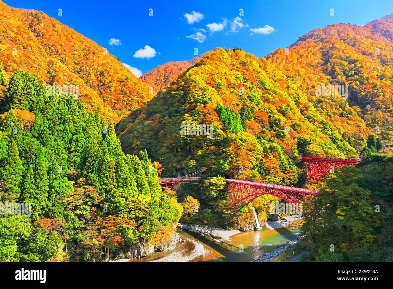 Kurobe Gorge Trolley train in autumn and the mountain range with autumn ...