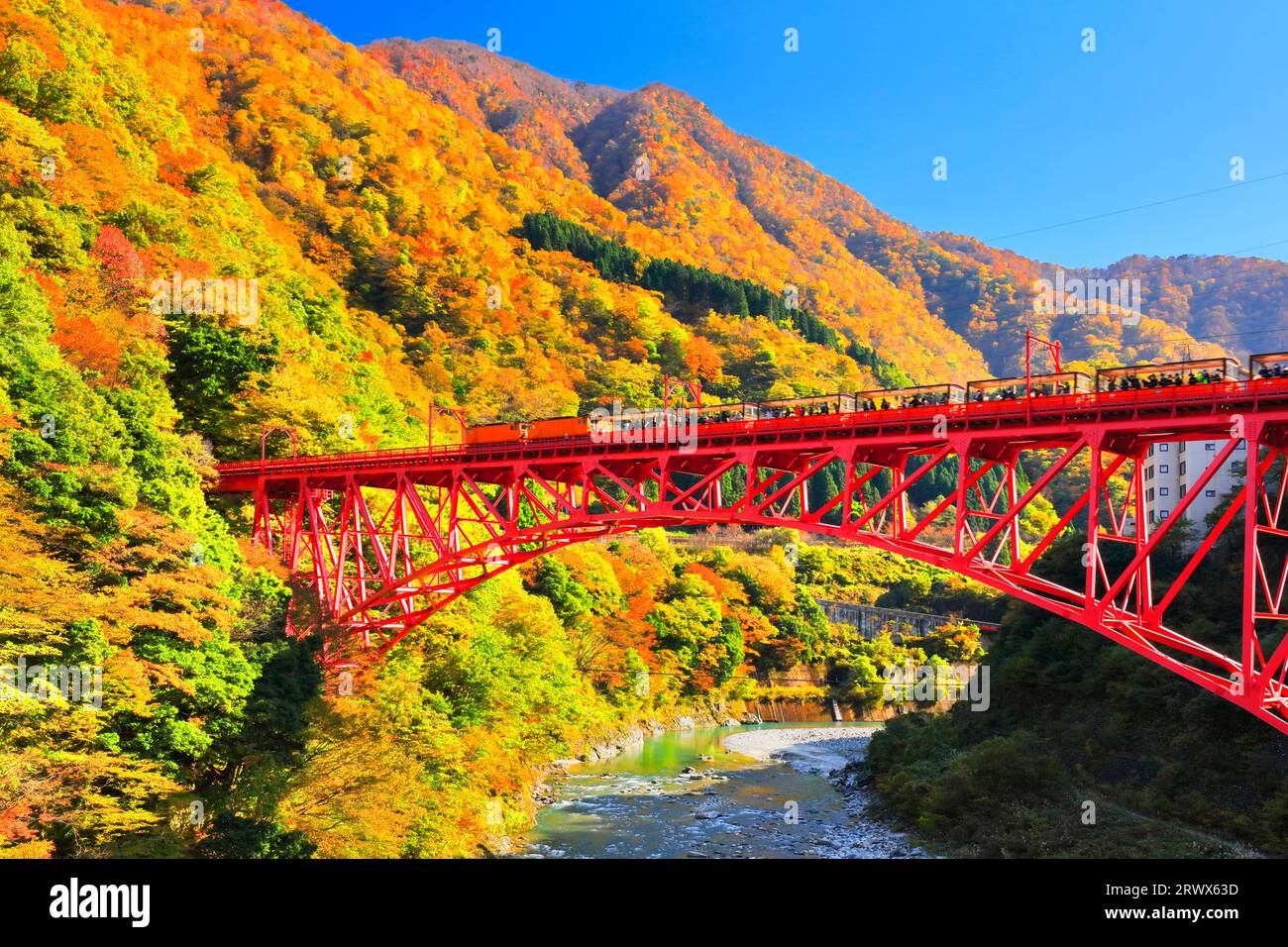 Kurobe Gorge in Autumn, Toyama Prefecture, Japan Trolley train and the ...