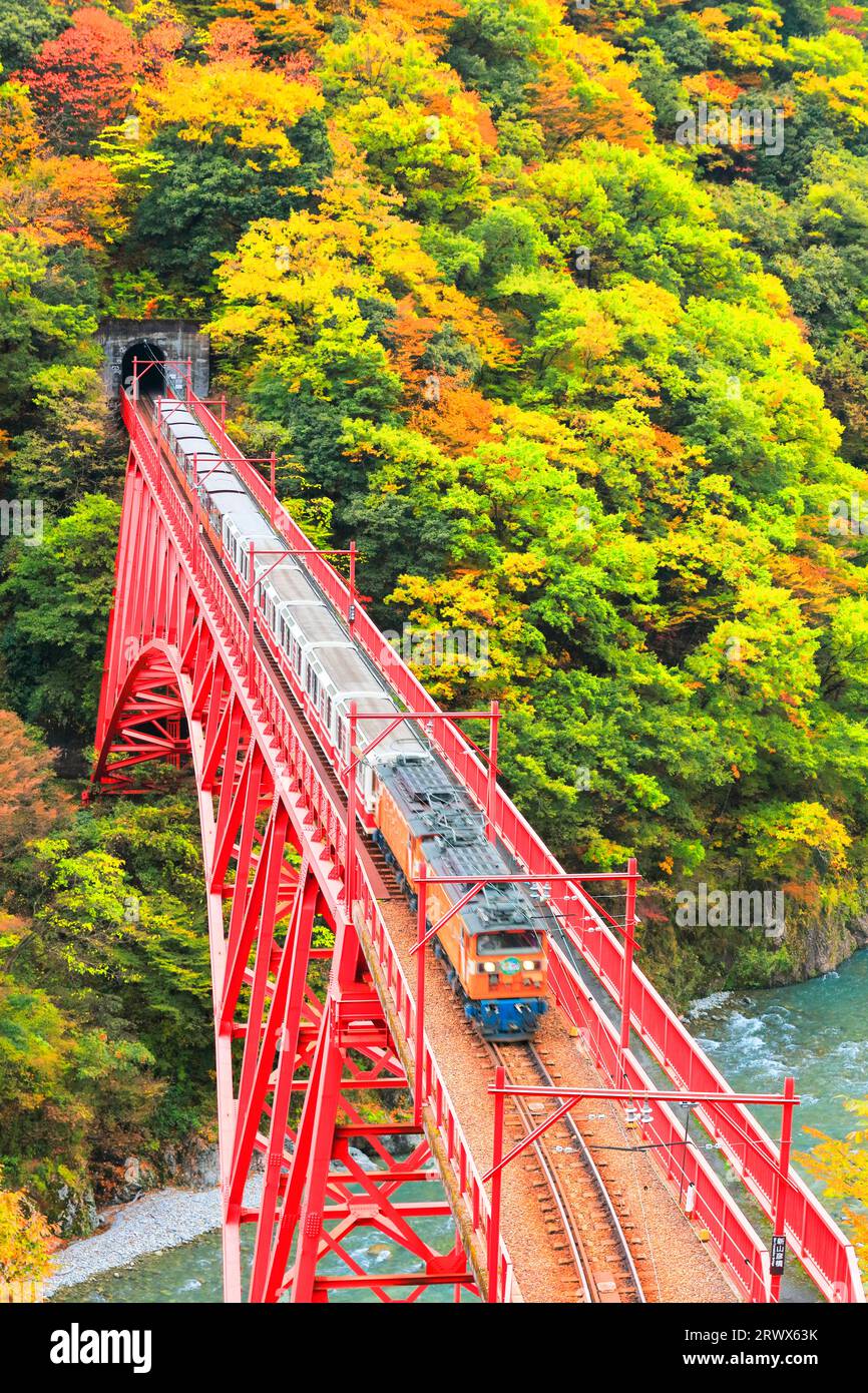 Kurobe Gorge of autumn leaves The clear stream of the Kurobe River and ...