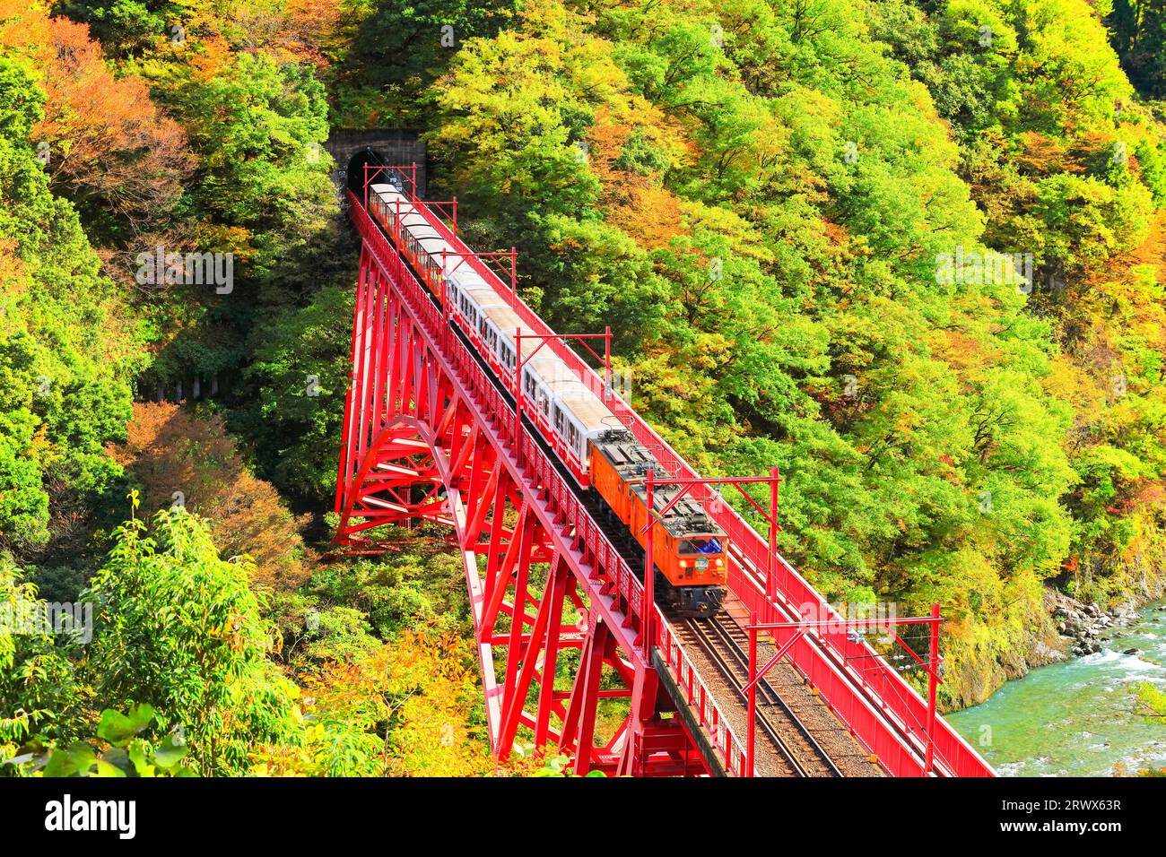 Kurobe Gorge of autumn leaves The clear stream of the Kurobe River and ...