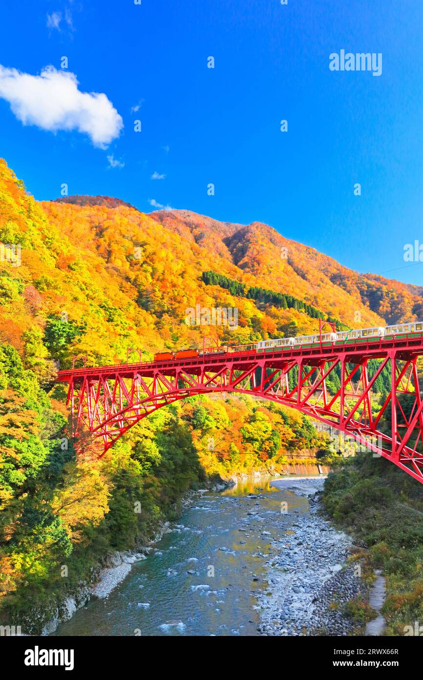 Kurobe Gorge Trolley train in autumn and the mountain range with autumn ...