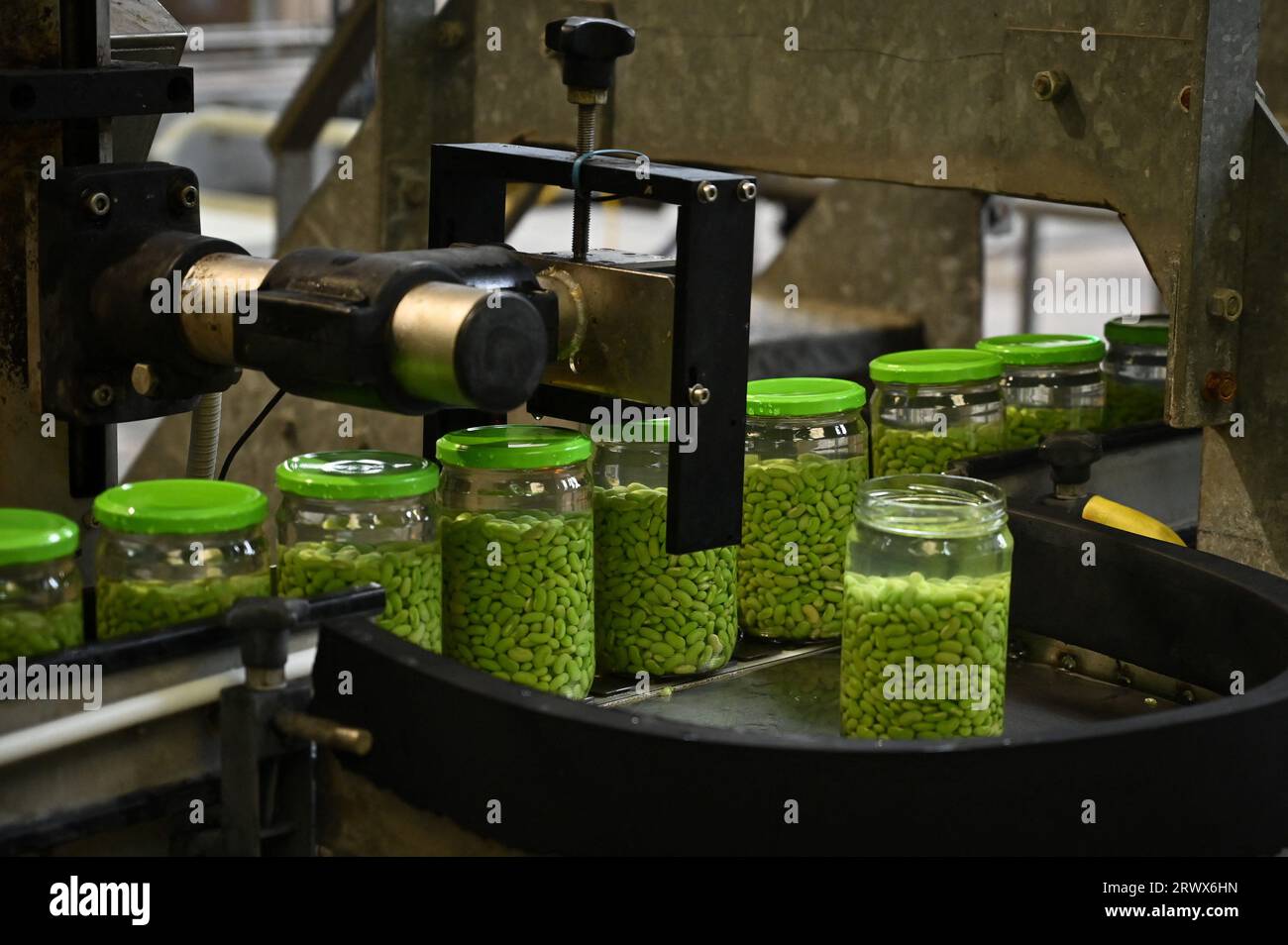 Illustration of a canned vegetable processing site in Brittany, France ...