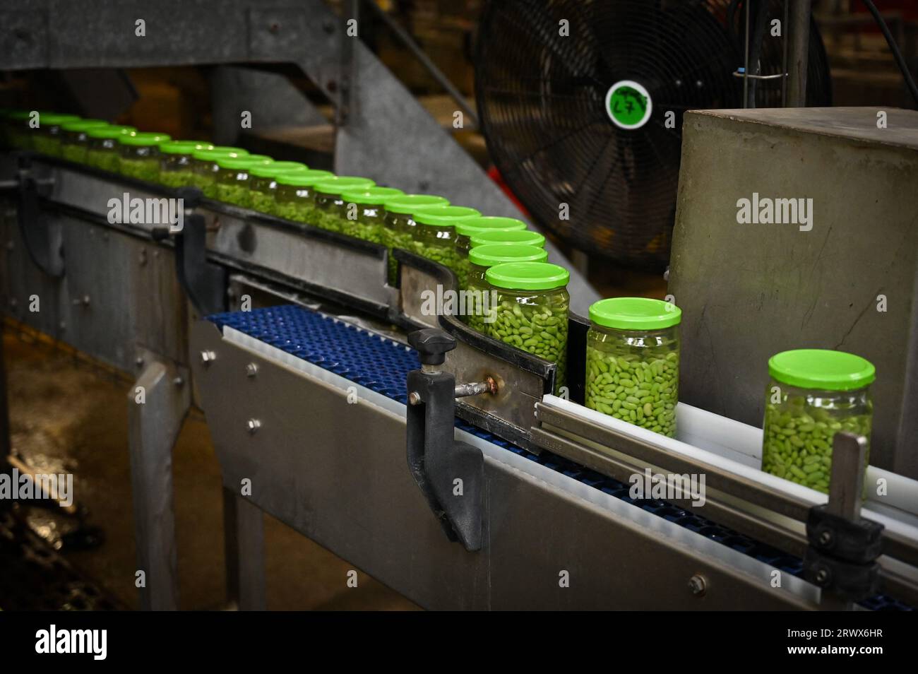 Illustration of a canned vegetable processing site in Brittany, France ...