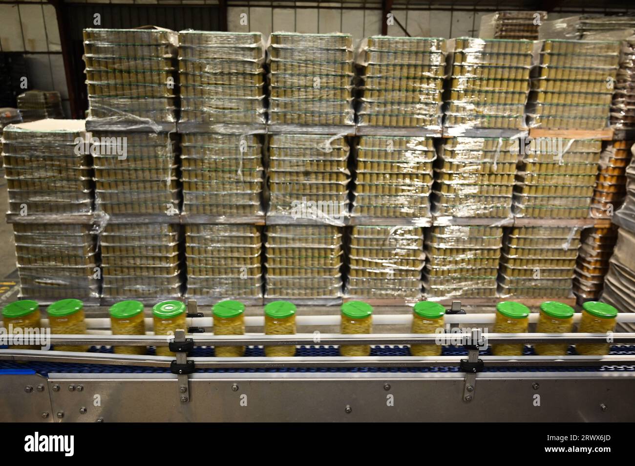 Illustration of a canned vegetable processing site in Brittany, France ...