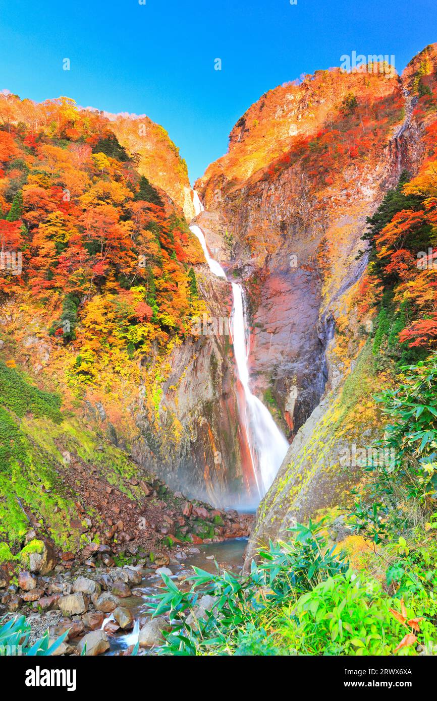 Shomyo Falls and Autumn Leaves at Tateyama in Autumn Stock Photo - Alamy