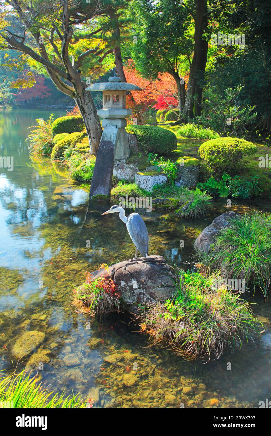 Local egrets in Kasumigaike Pond and the Kouji lantern in Kanazawa ...