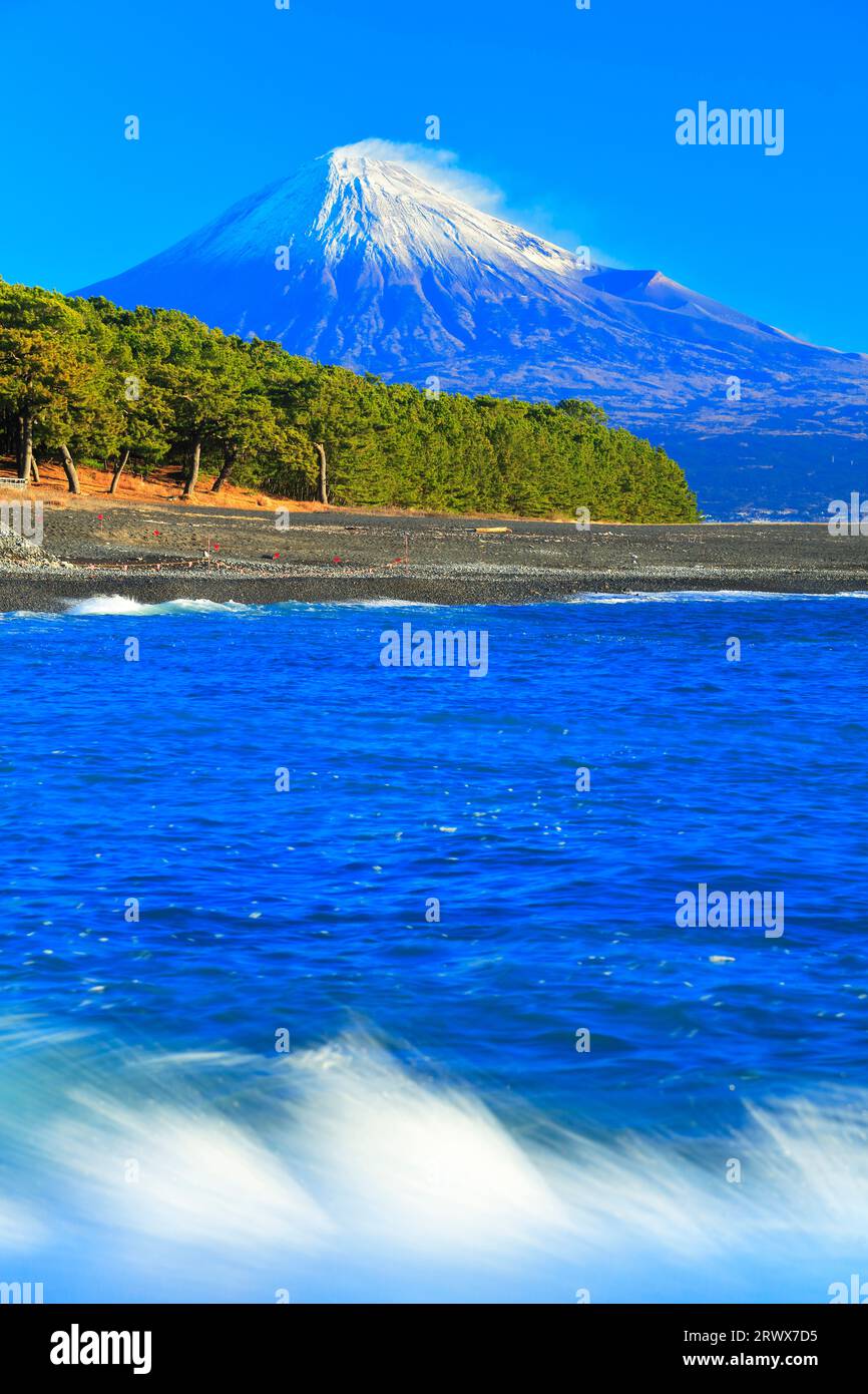 Snow-capped Mt. Fuji from Miho Pine Grove Stock Photo - Alamy