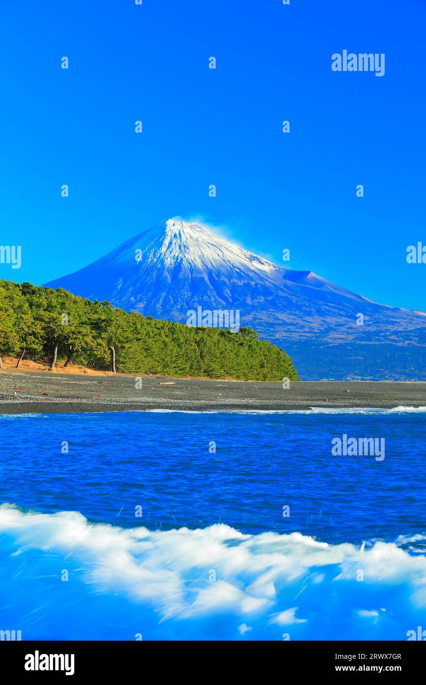 Snow-capped Mt. Fuji from Miho Pine Grove Stock Photo - Alamy