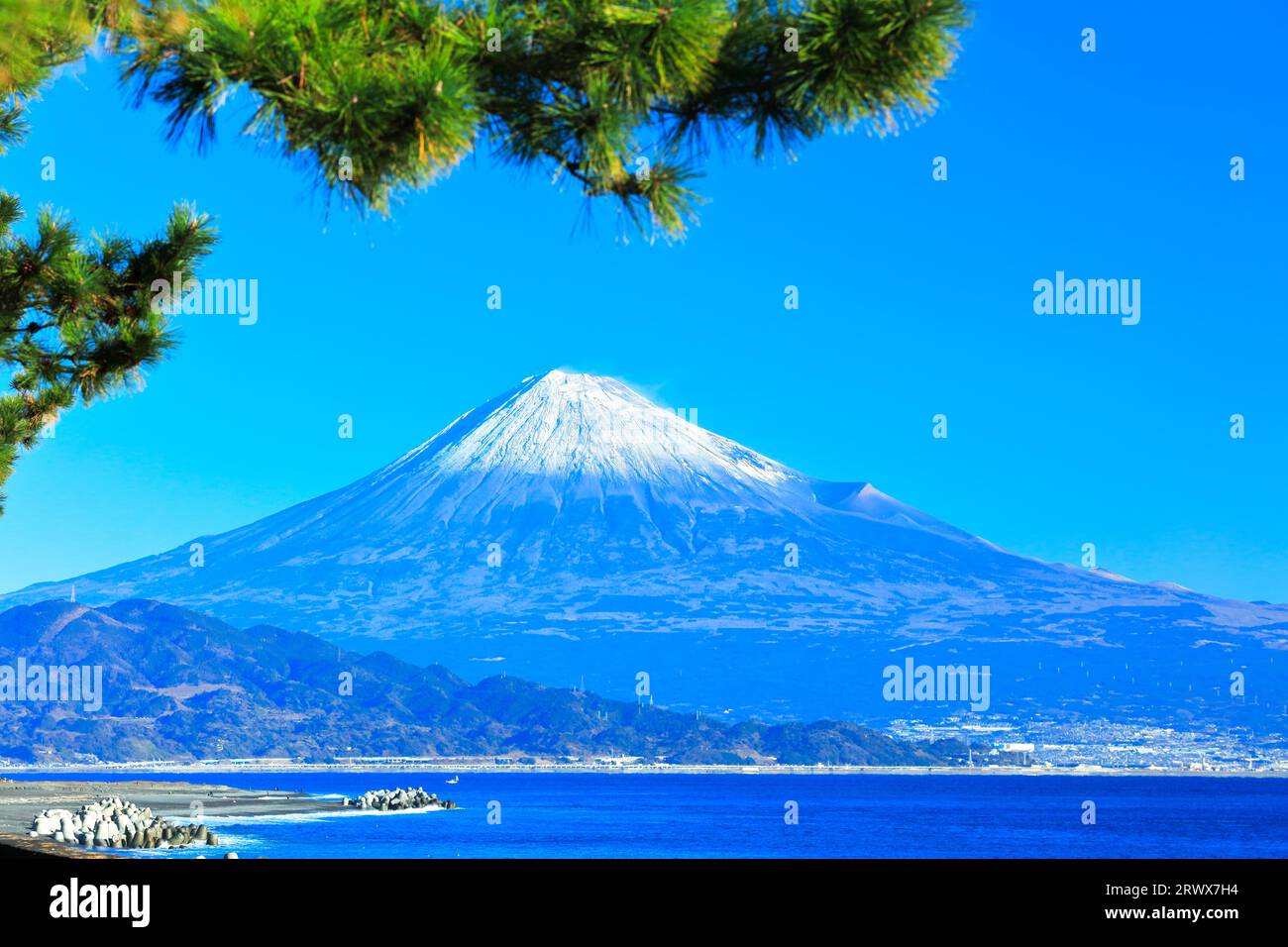 Snow-capped Mt. Fuji from Miho Pine Grove Stock Photo - Alamy