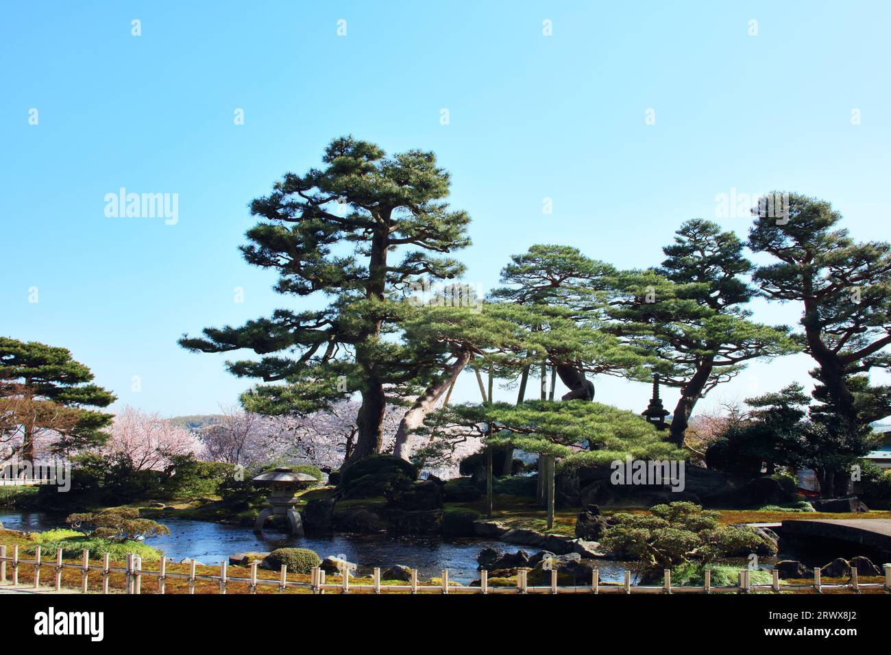Seven Gods of Good Luck Mountain and cherry blossoms in Kenrokuen ...