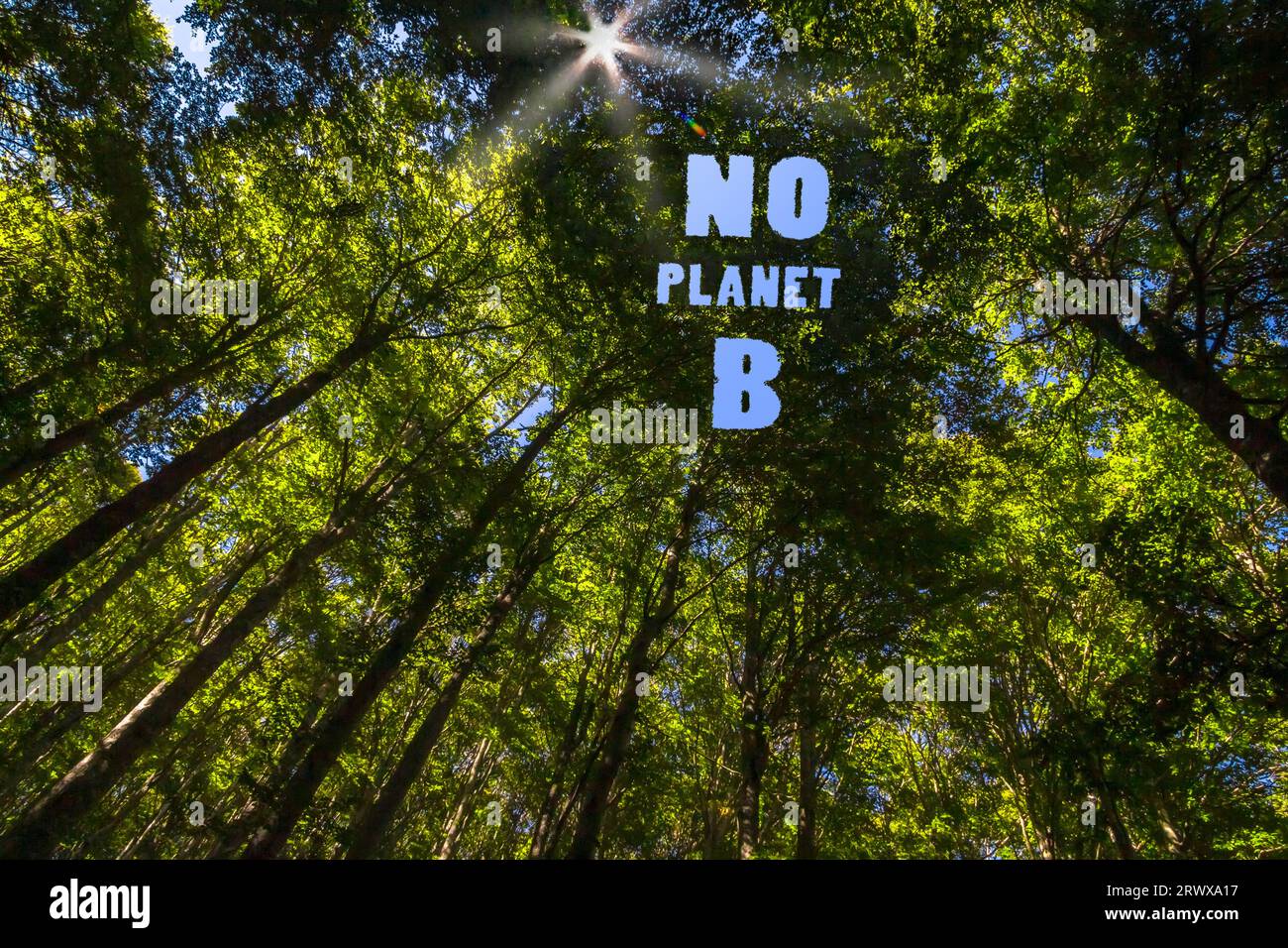 Climate Activism Concept or Banner Stock Photo - Alamy