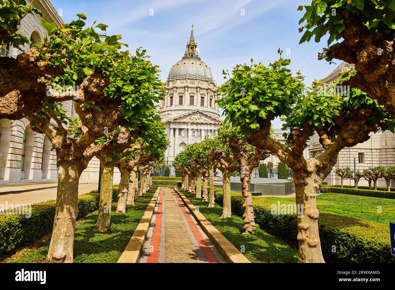 Pathway with trees in memorial court leading to city hall in San ...