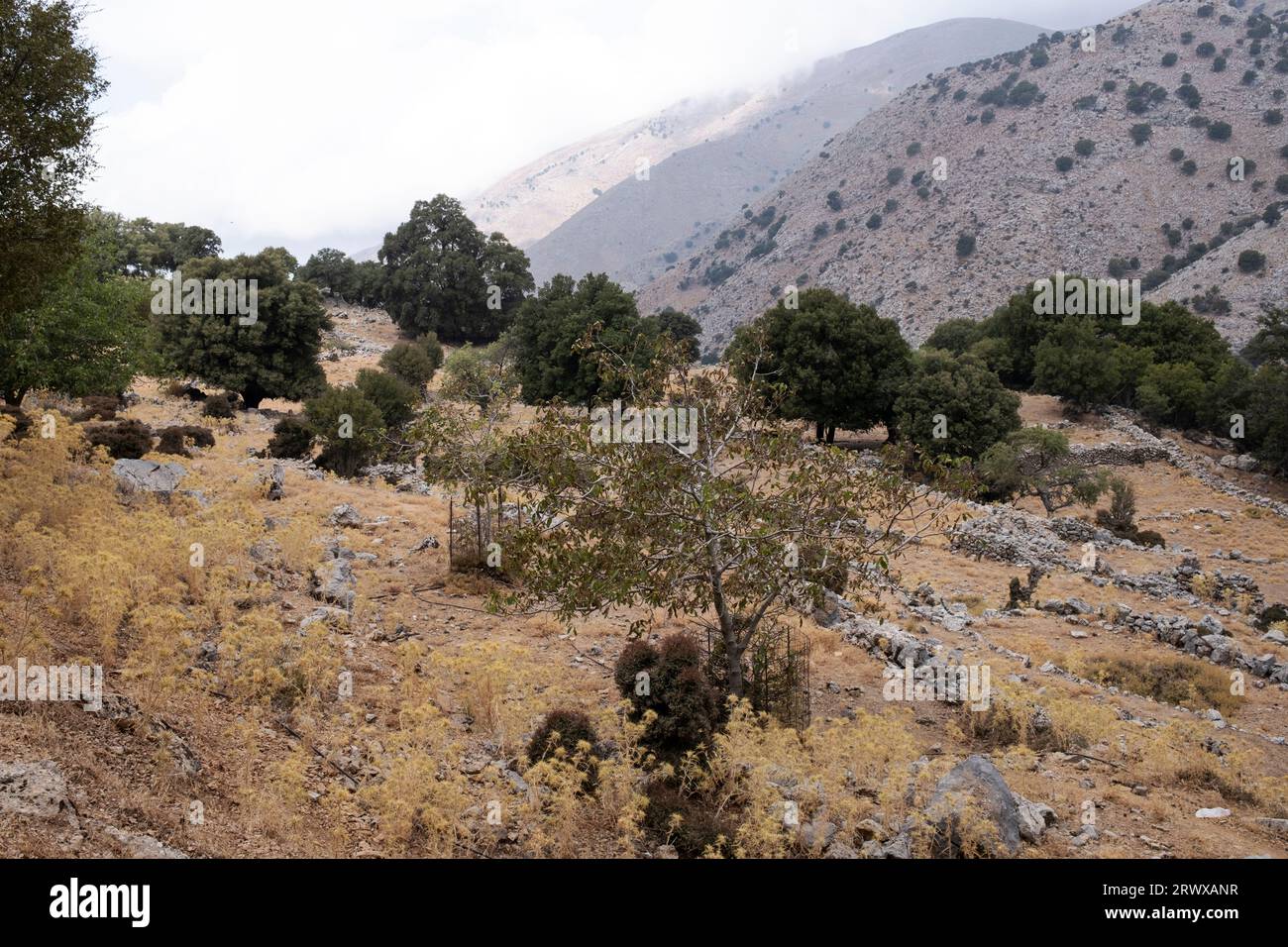 Dikti crete hi-res stock photography and images - Alamy