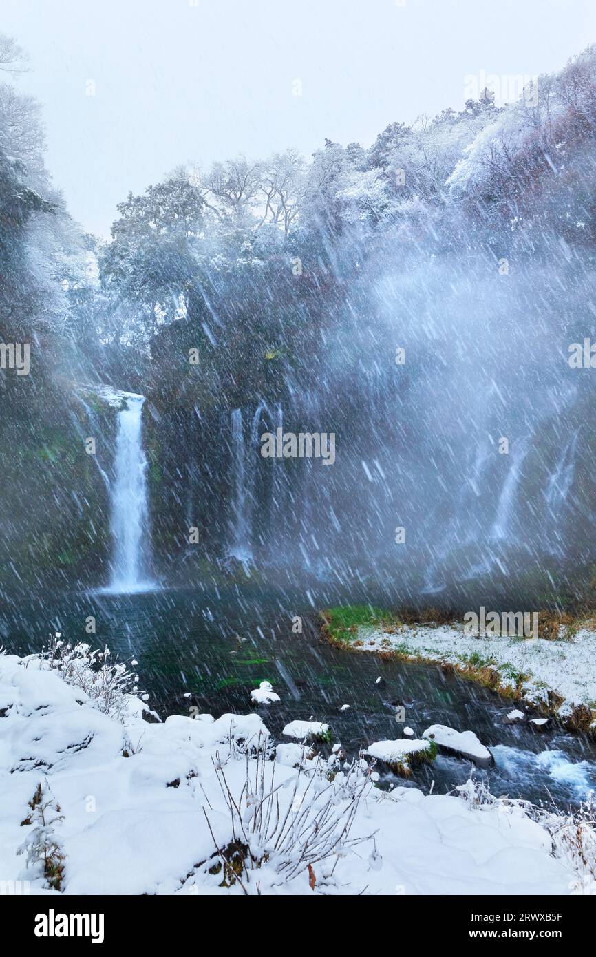 Shiraito falls in national park hi-res stock photography and images - Alamy