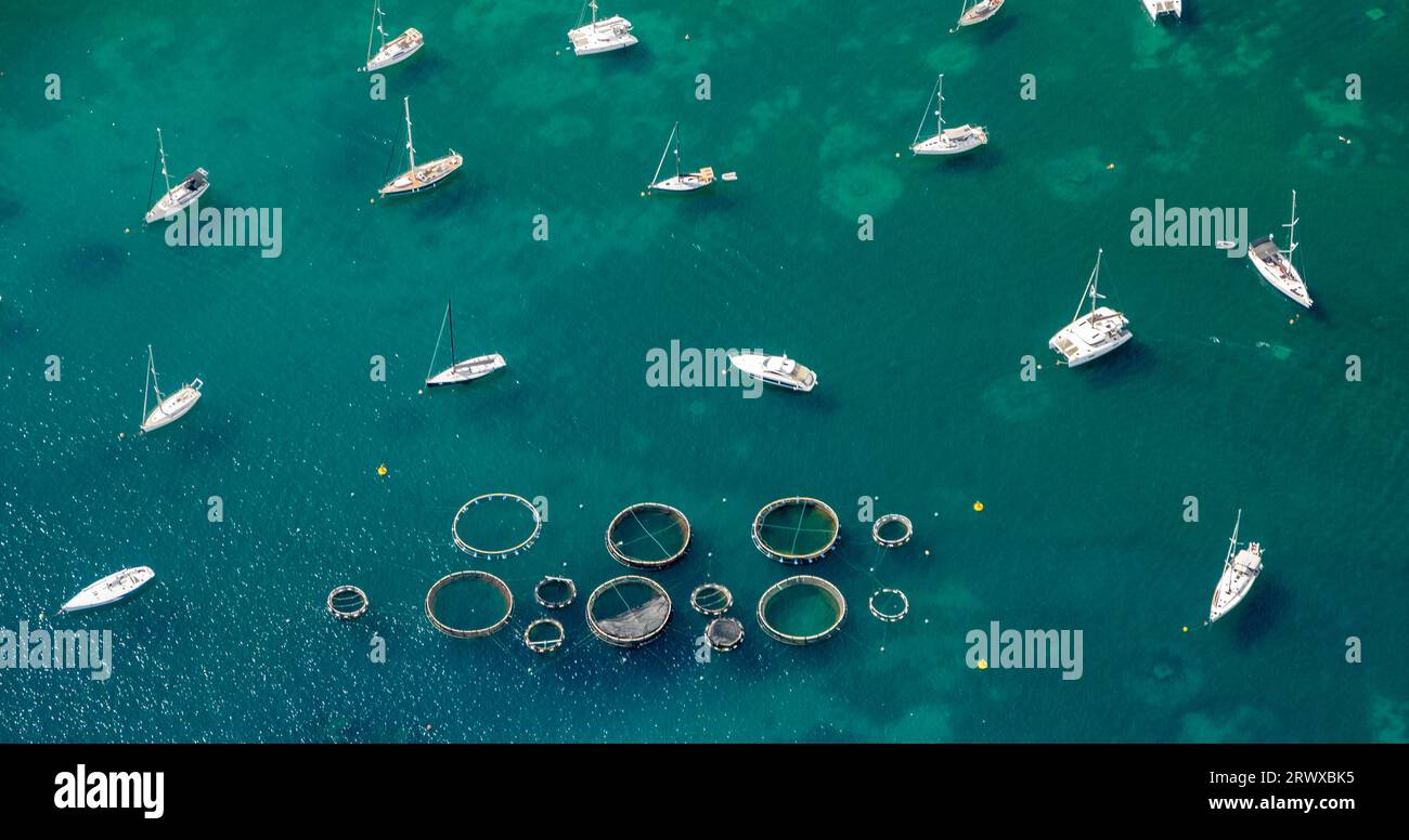 Aerial view, sailboats and catamarans in deep blue sea, fish farm ...