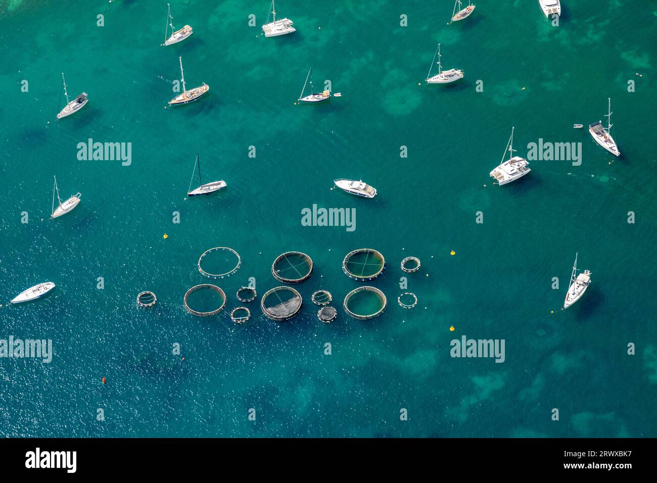 Aerial view, sailboats and catamarans in deep blue sea, fish farm ...