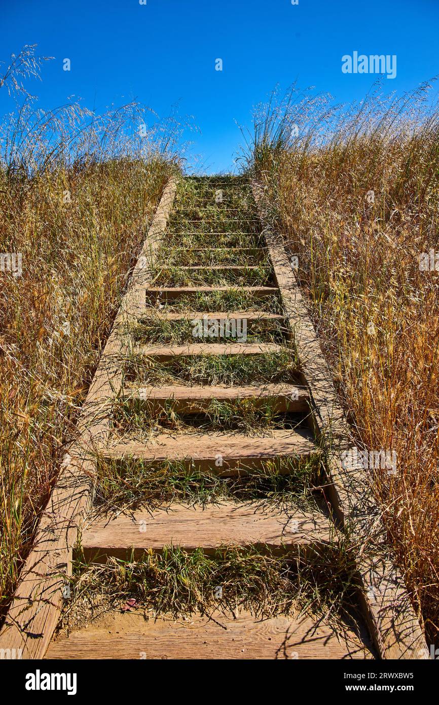 Steps going up hill stairs hi-res stock photography and images - Alamy
