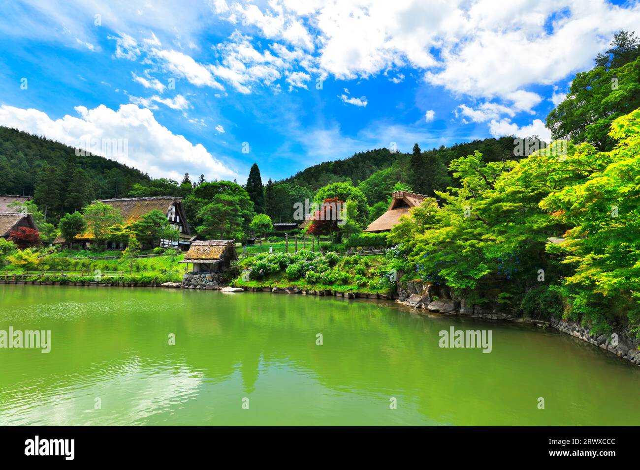 Village In Bloom