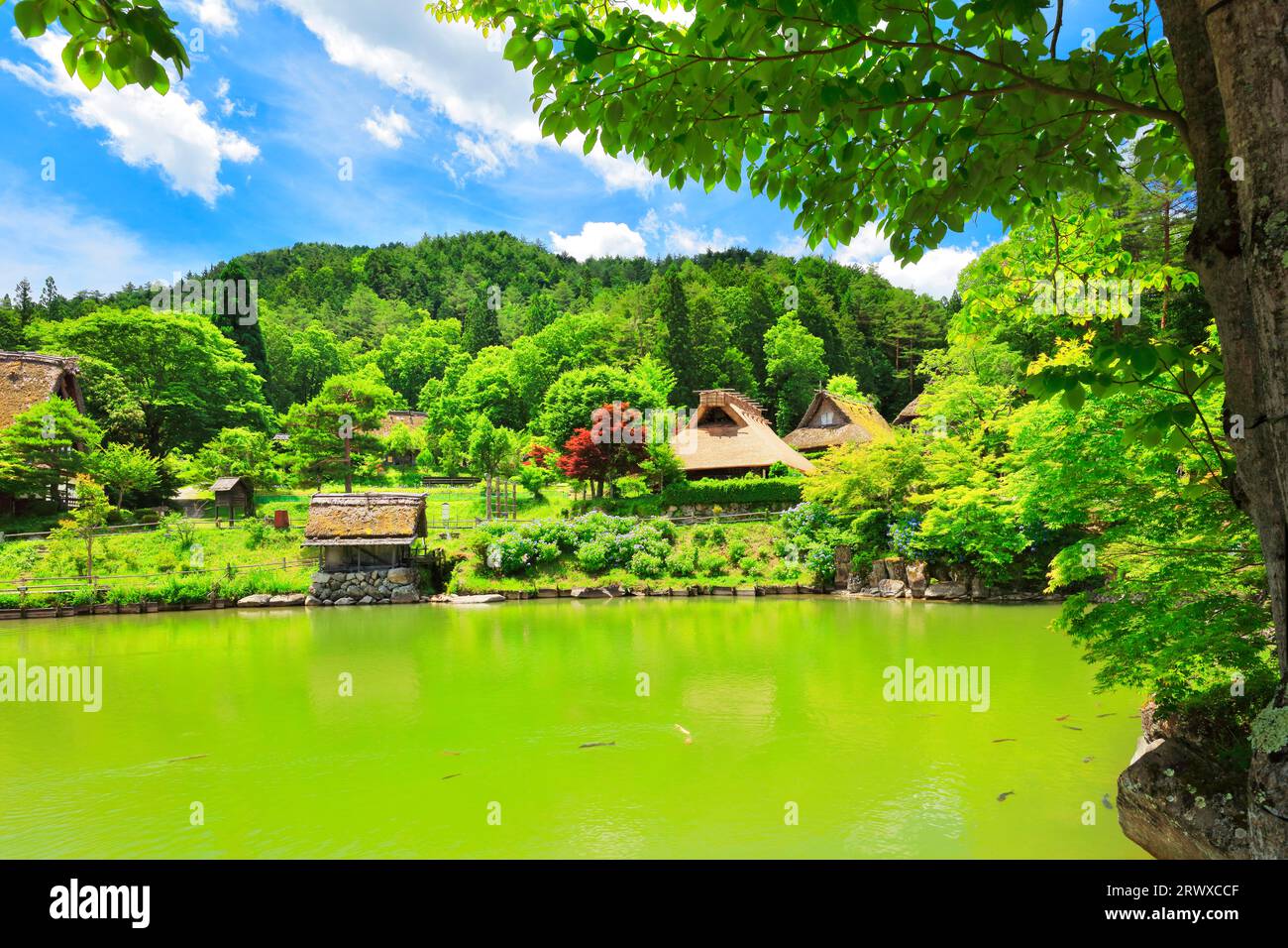 Village In Bloom