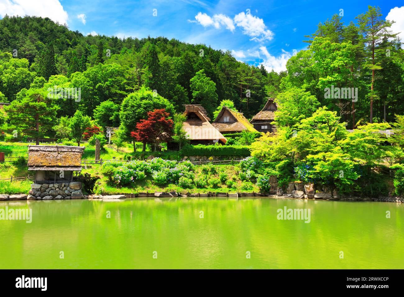 Village In Bloom