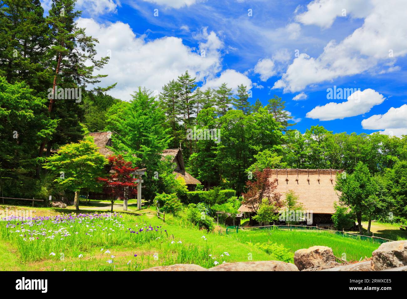 Hida Folk Village in Bloom Hida no Sato Stock Photo - Alamy