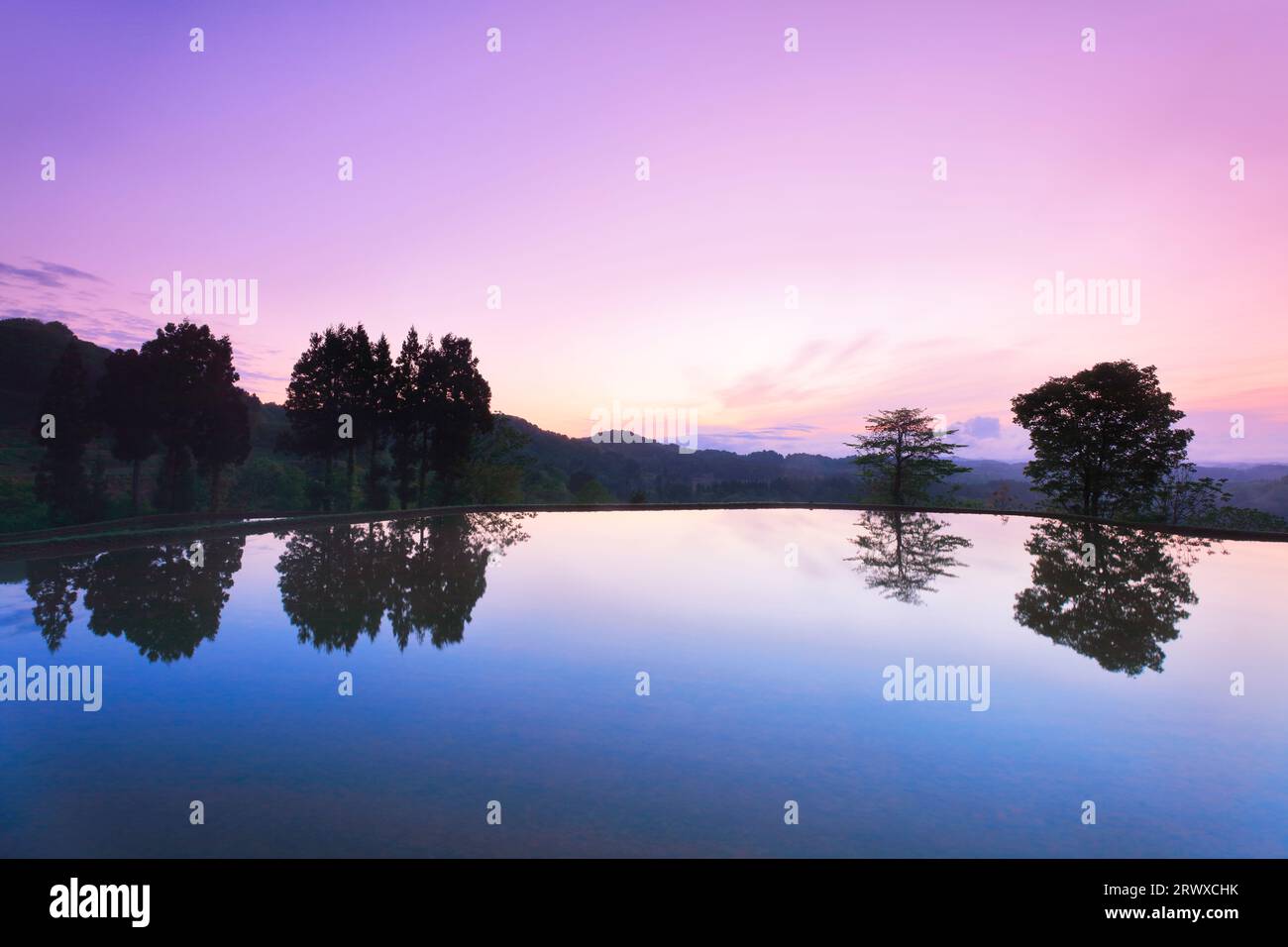 Water mirror rice paddies and morning sky Stock Photo - Alamy