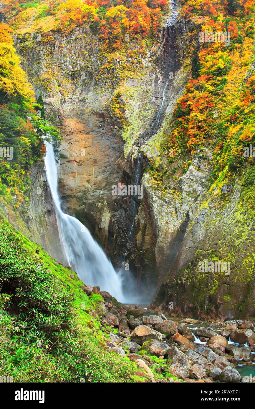Shomyo Falls and Autumn Leaves at Tateyama in Autumn Stock Photo - Alamy