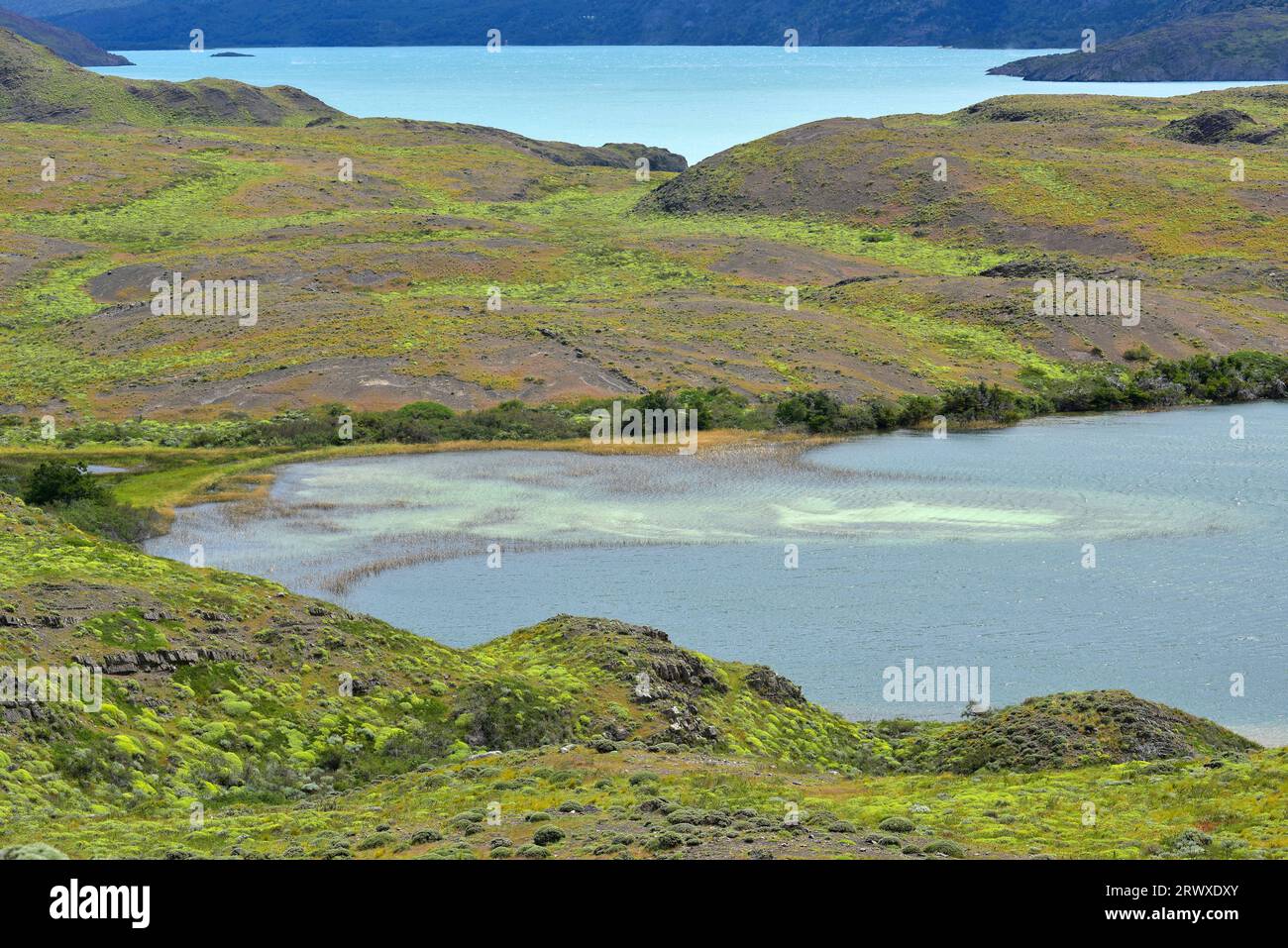 Torres del Paine National Park. Laguna Larga and Lago Nordenskjold at ...