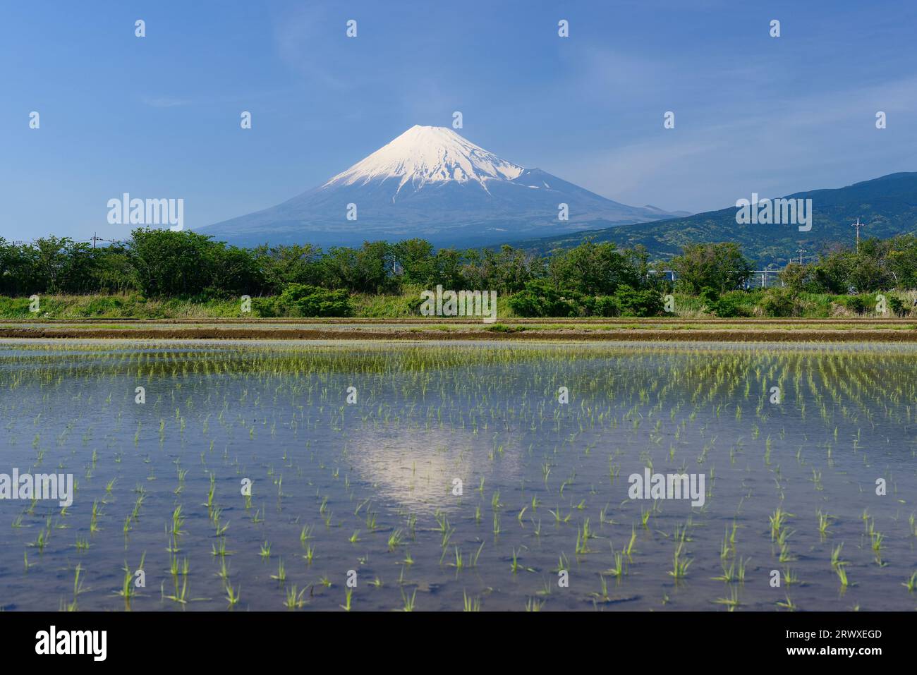 Japanese rice paddies hi-res stock photography and images - Alamy