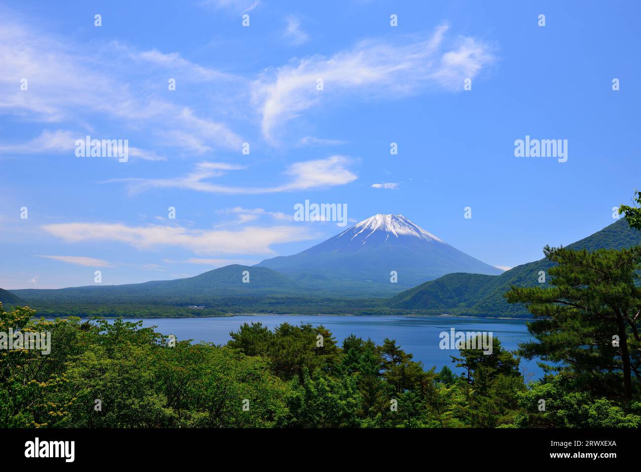 Fuji from Lake Motosuko in Early Summer Stock Photo - Alamy
