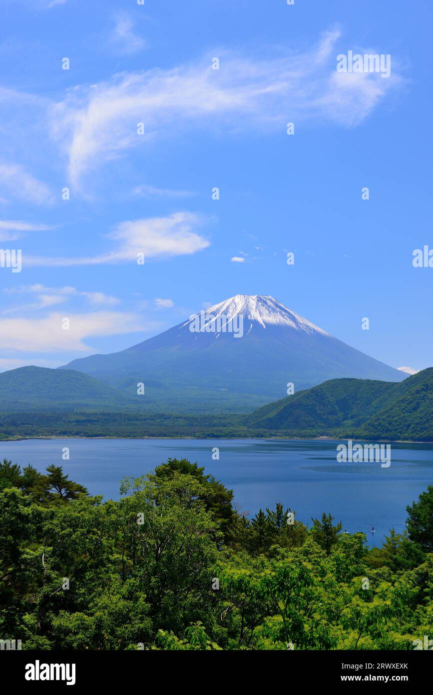 Fuji from Lake Motosuko in Early Summer Stock Photo - Alamy