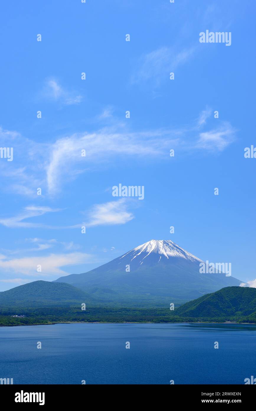 Fuji from Lake Motosuko in Early Summer Stock Photo - Alamy