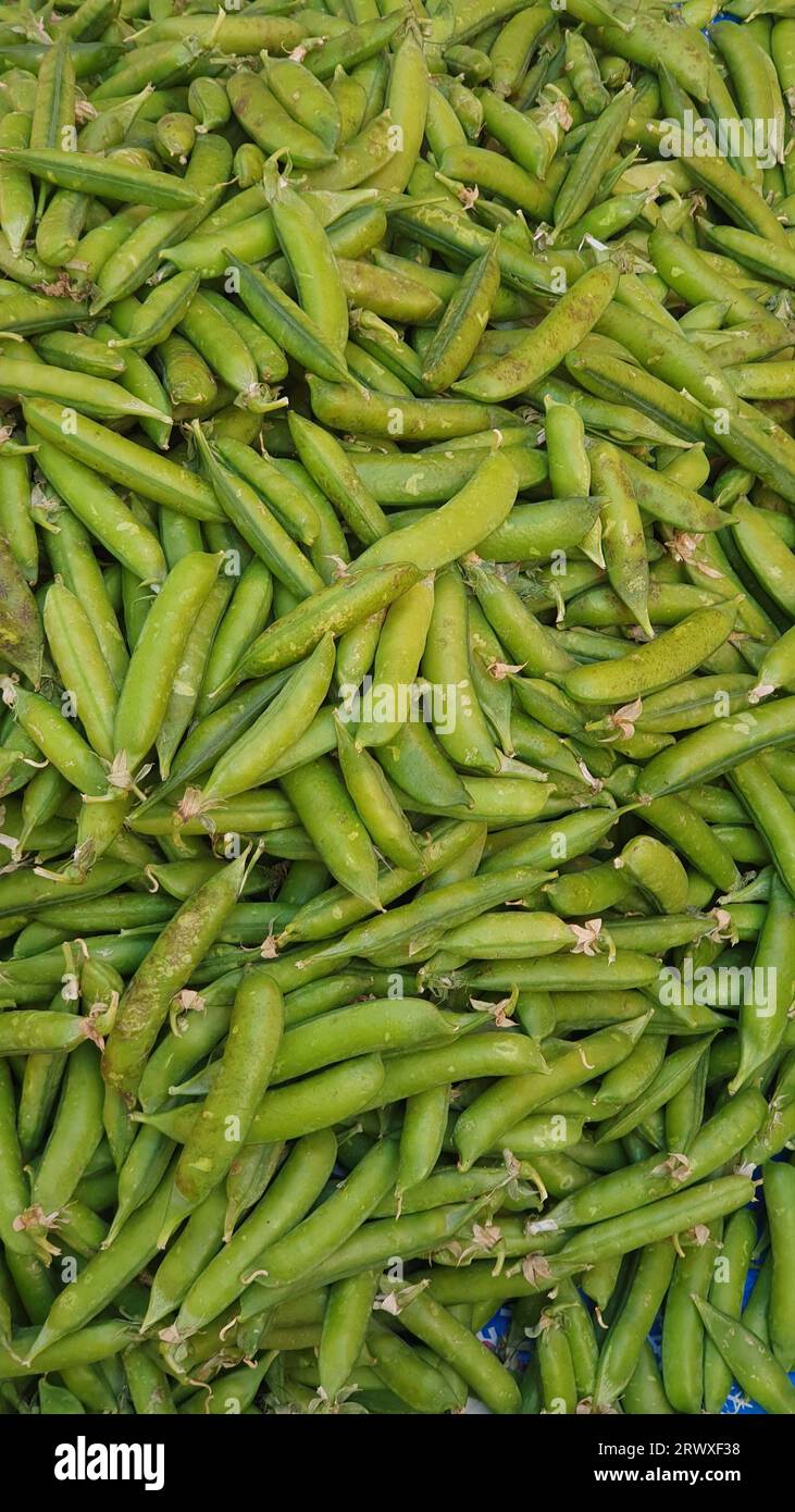 Full background of green peas on a flat base Stock Photo - Alamy