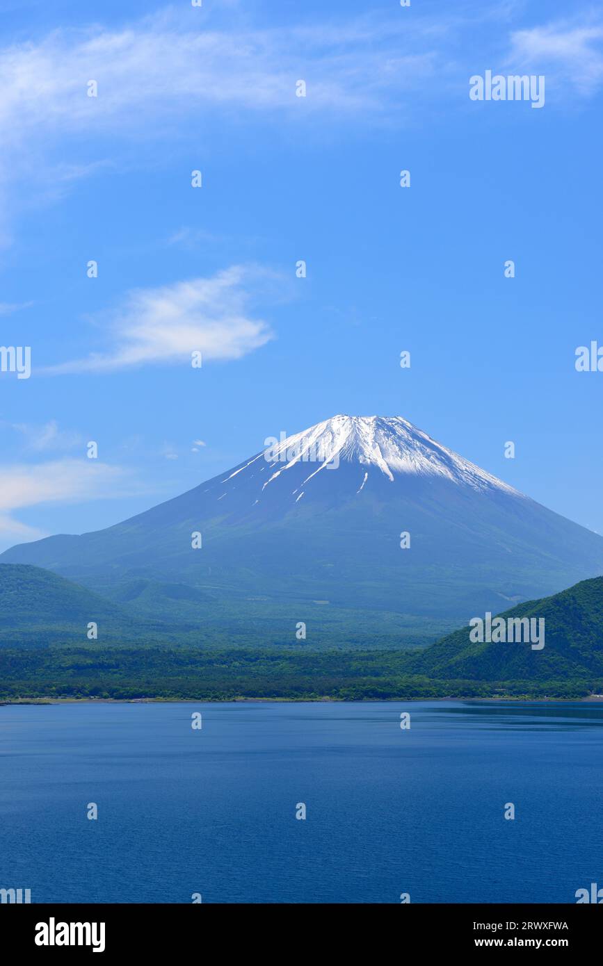 Fuji in early summer, Yamanashi from Motosuko Lake Stock Photo - Alamy