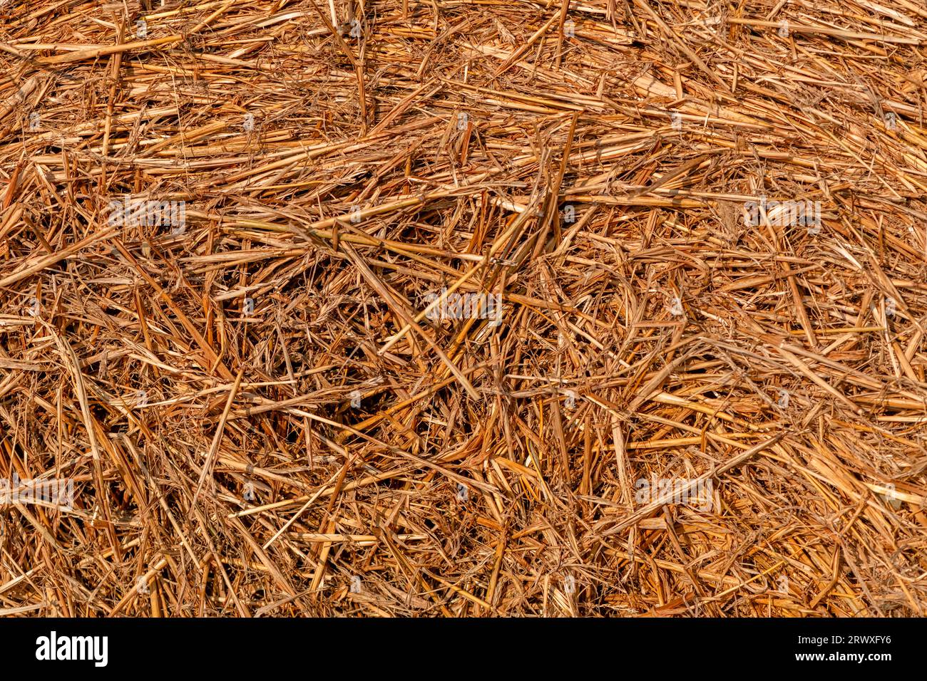 Mowed rows hi-res stock photography and images - Alamy