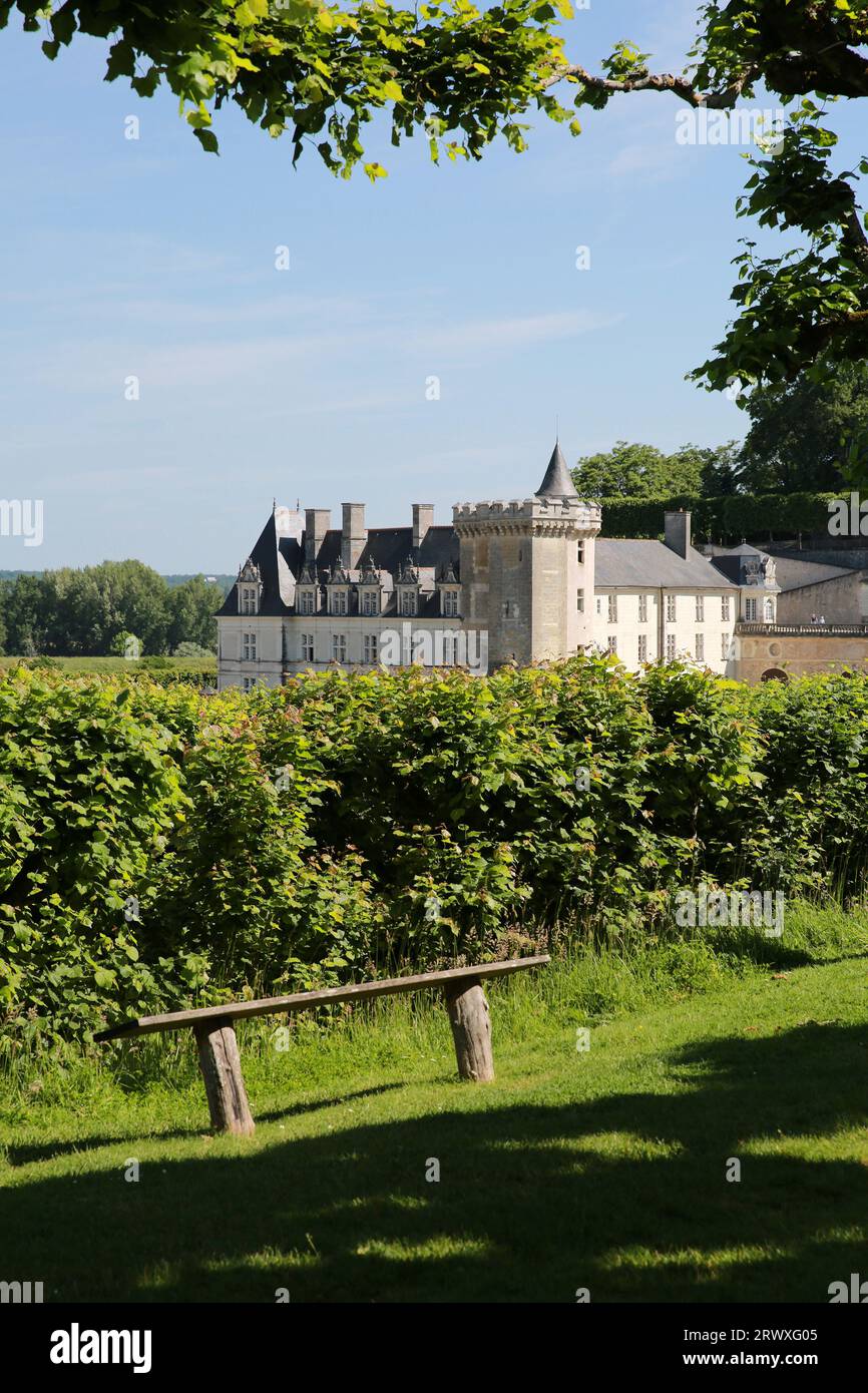 Chateau de Villandry Stock Photo - Alamy